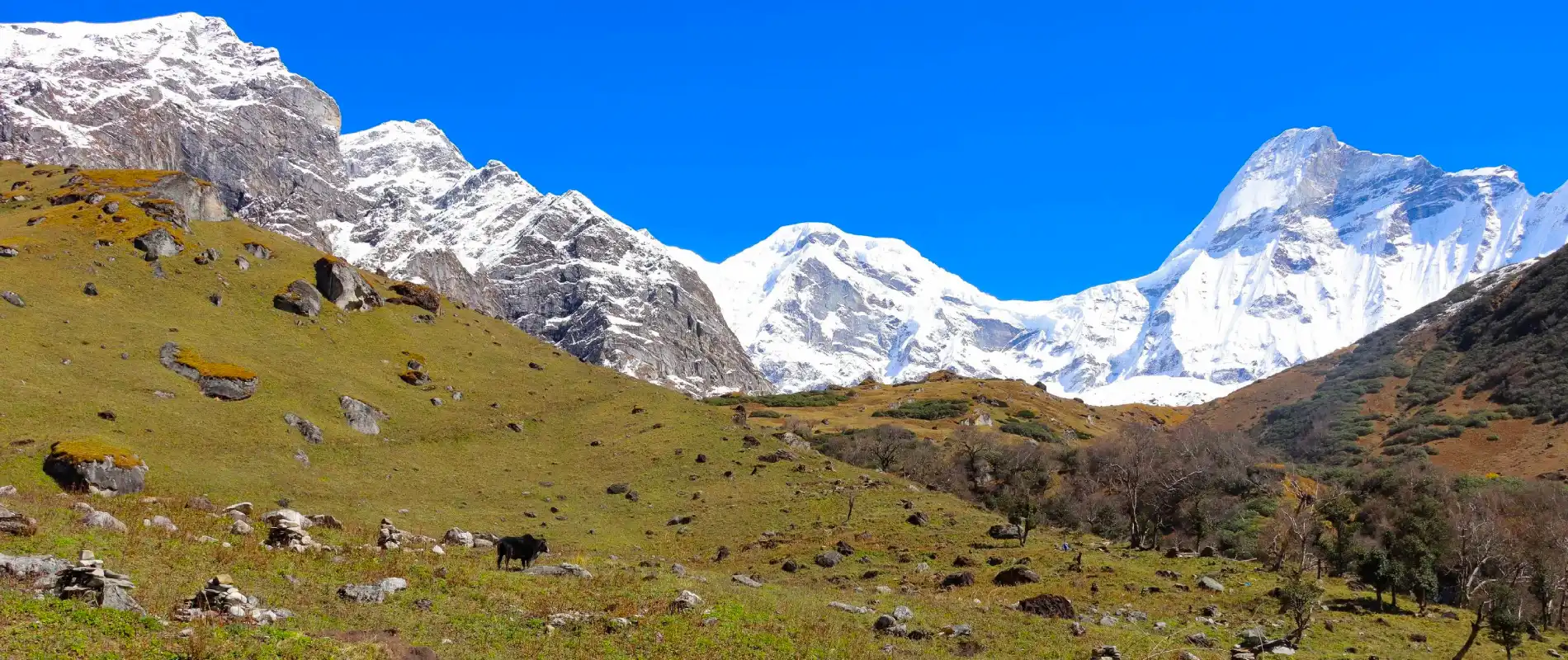 Api Base Camp Trek - Alpine Journeys Treks & Expedition Pvt. Ltd.